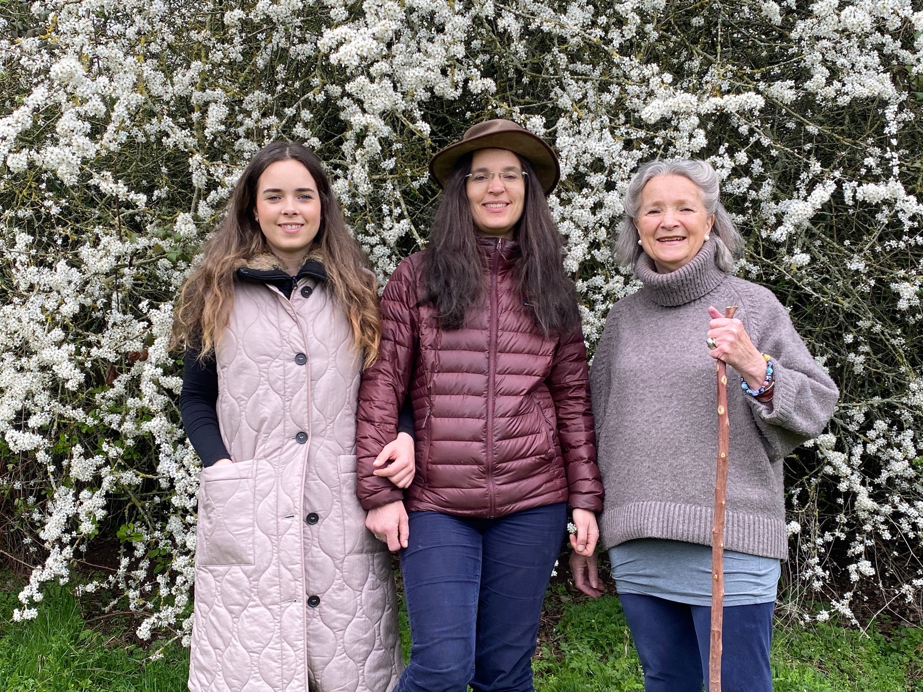 Brookside Botanicals